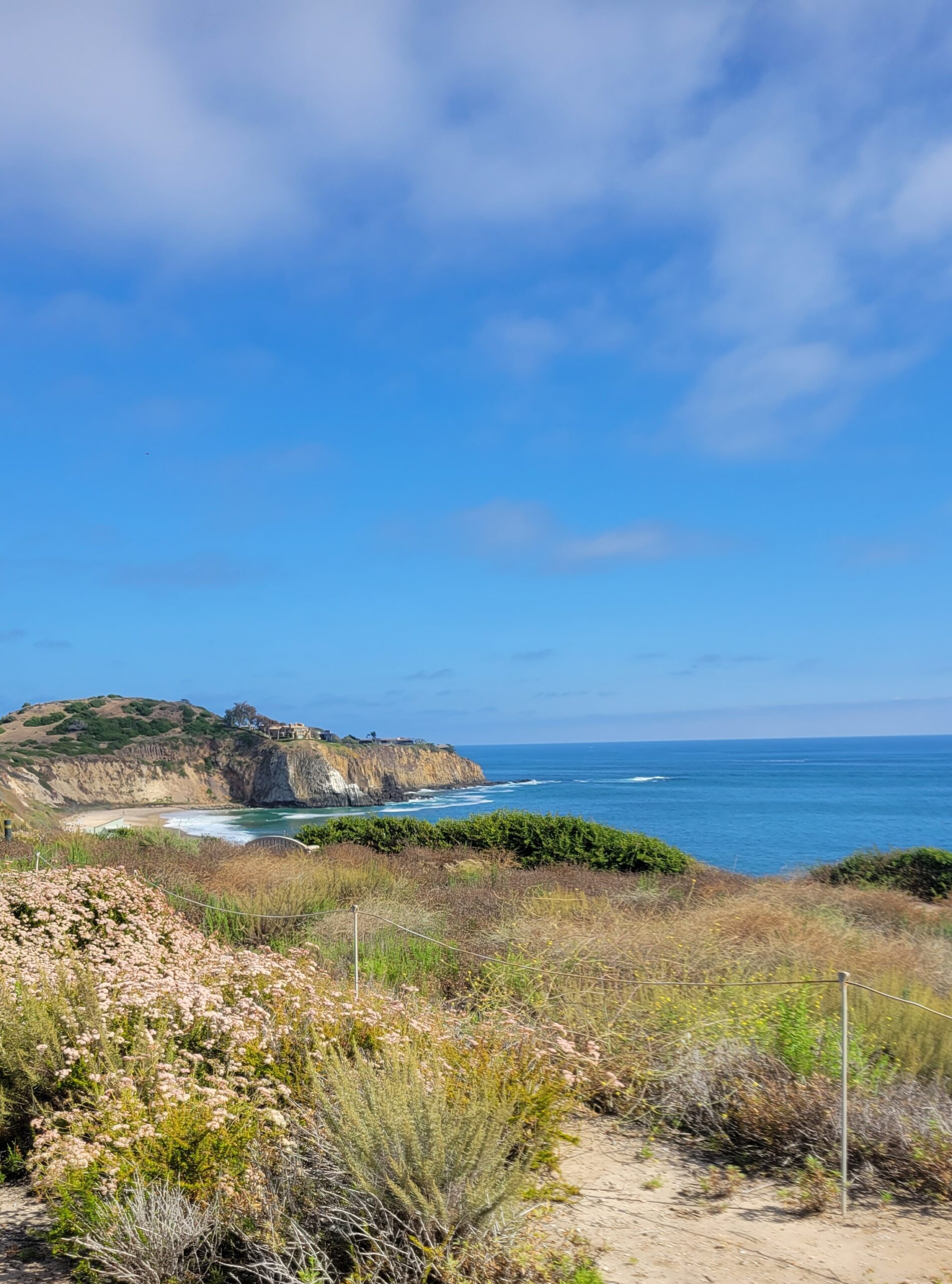 “But What About Socialization?” A Detailed Answer to a Common Question